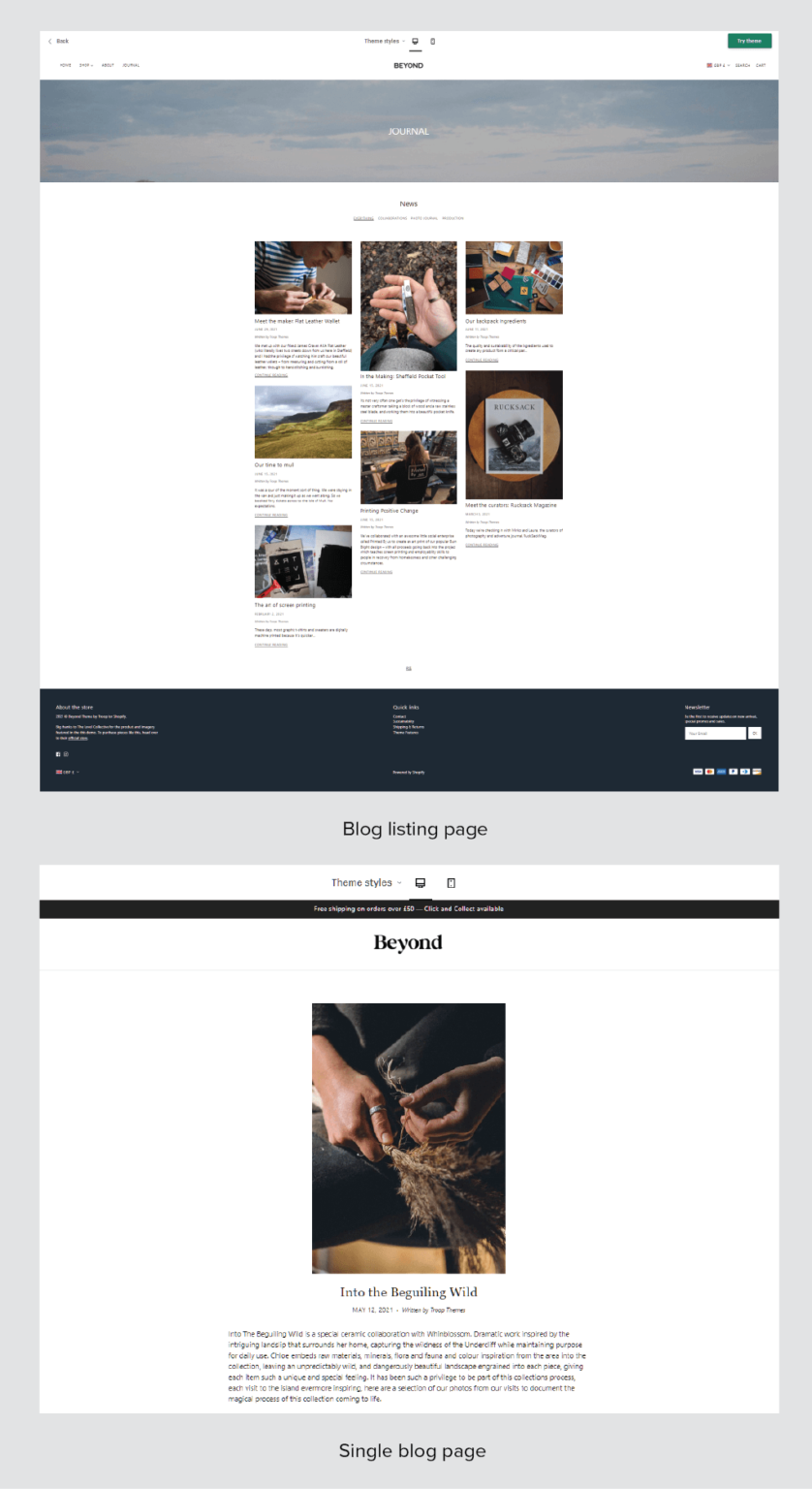 17 Best Shopify Blog Templates in 2025 (Free + Paid)