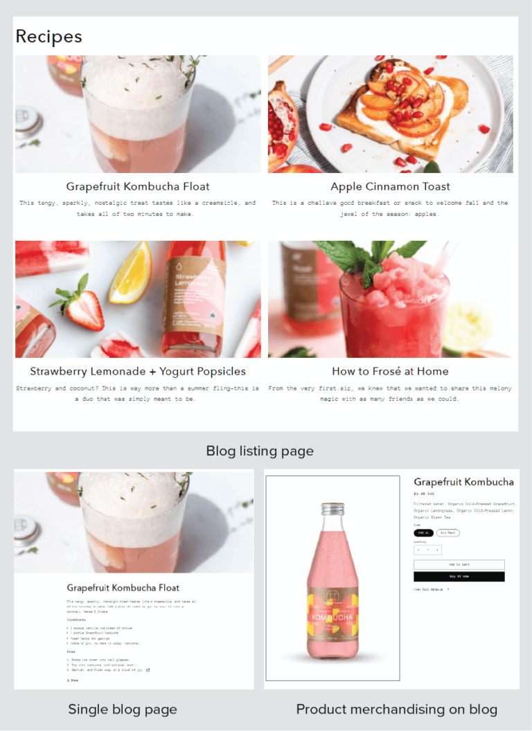 17 Best Shopify Blog Templates in 2025 (Free + Paid)