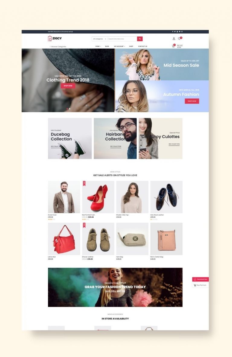 45 Best Ecommerce Website Templates in 2025 (Theme + HTML CSS)
