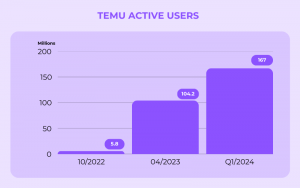 Temu Net Worth, Revenue And Financial Statistic 2024: What does it say?