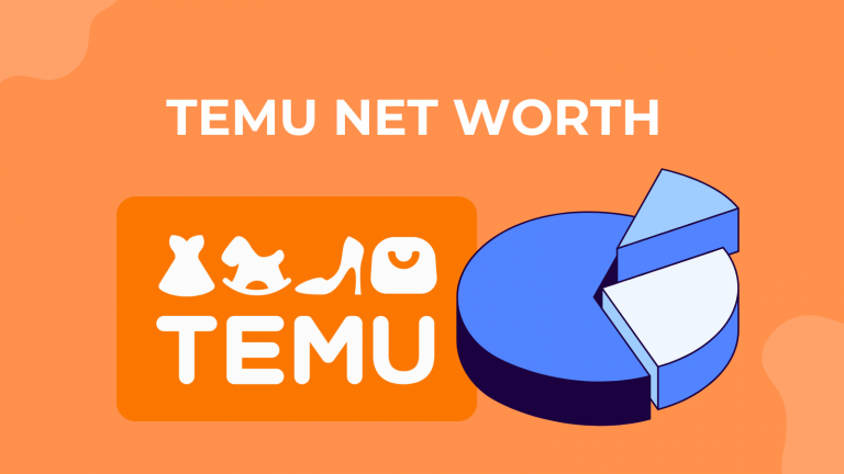 Temu Net Worth, Revenue And Financial Statistic 2024: What does it say?